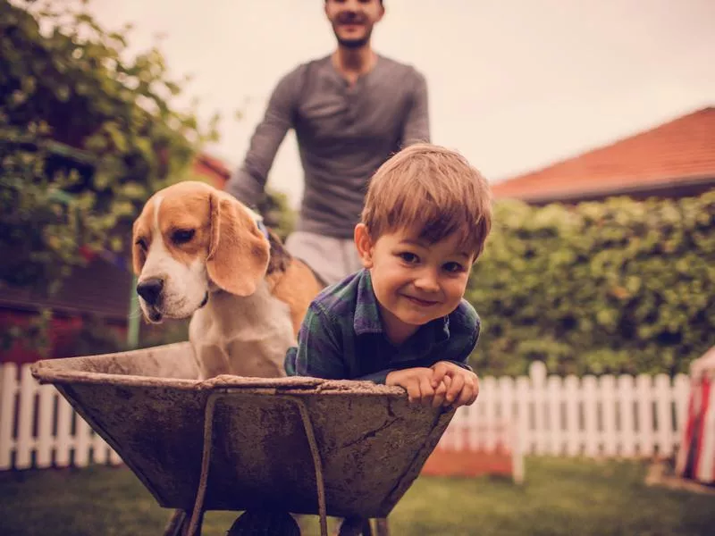 Longest Living Dog Breeds